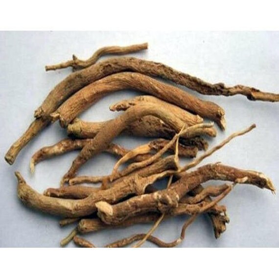 Punarnava Roots Boerhavia Diffusa-raw Herbs-sathi Jadi - Etsy