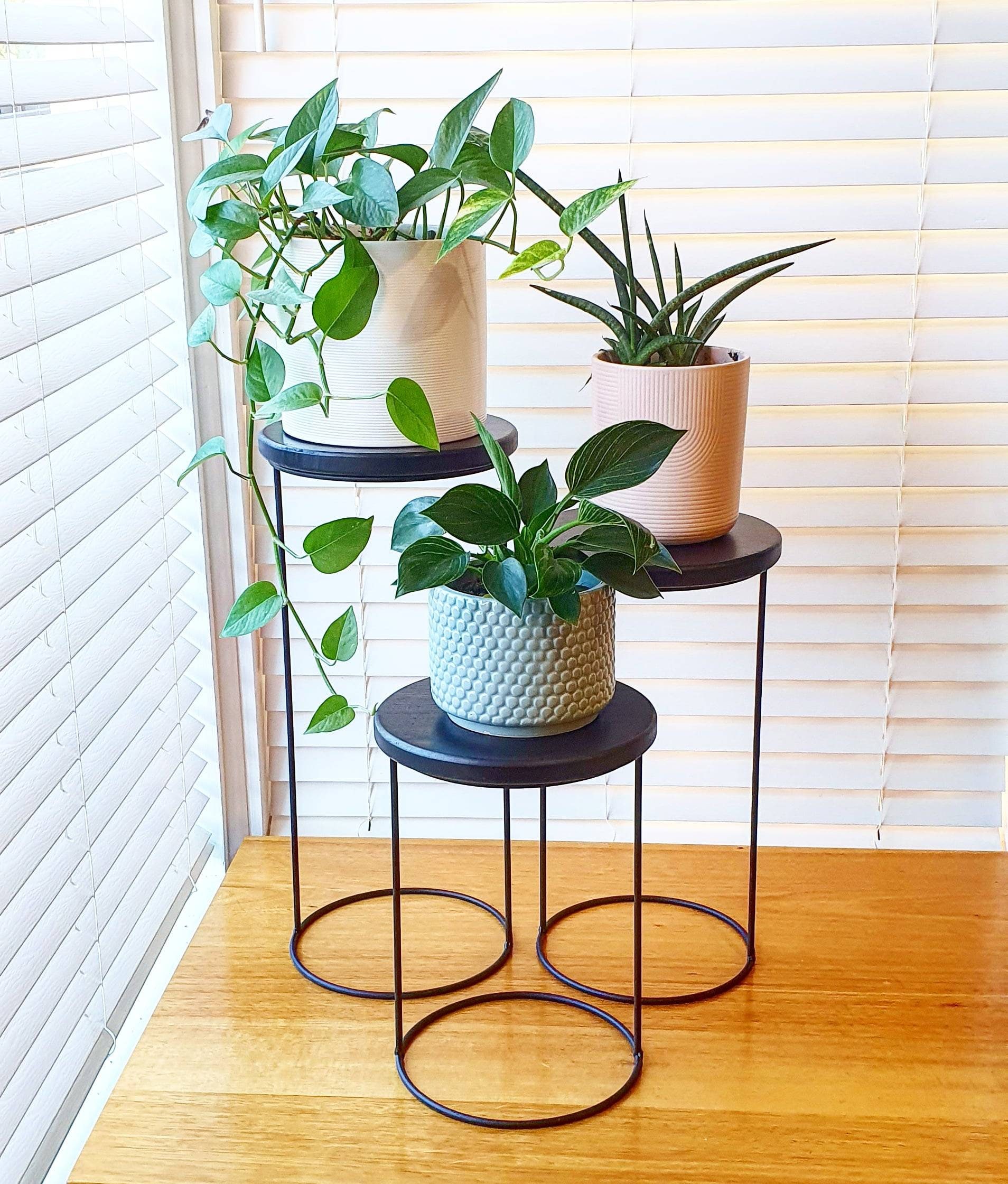 Nested plant stands store