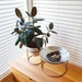 MINI Plant Stand Pot Plant Stand Metal Plant Stand Home - Etsy