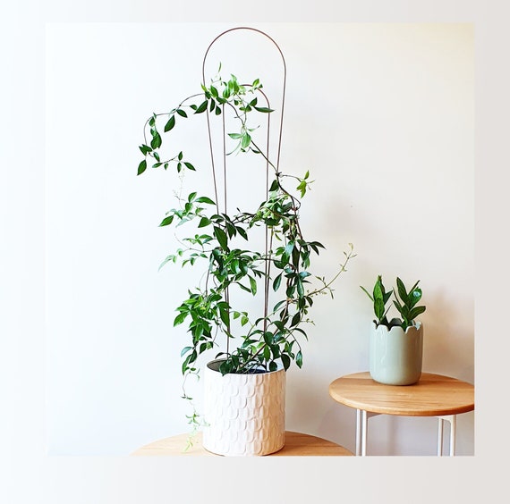 TALL RICKY Plant Stake Plant Trellis Plant Decor - Etsy