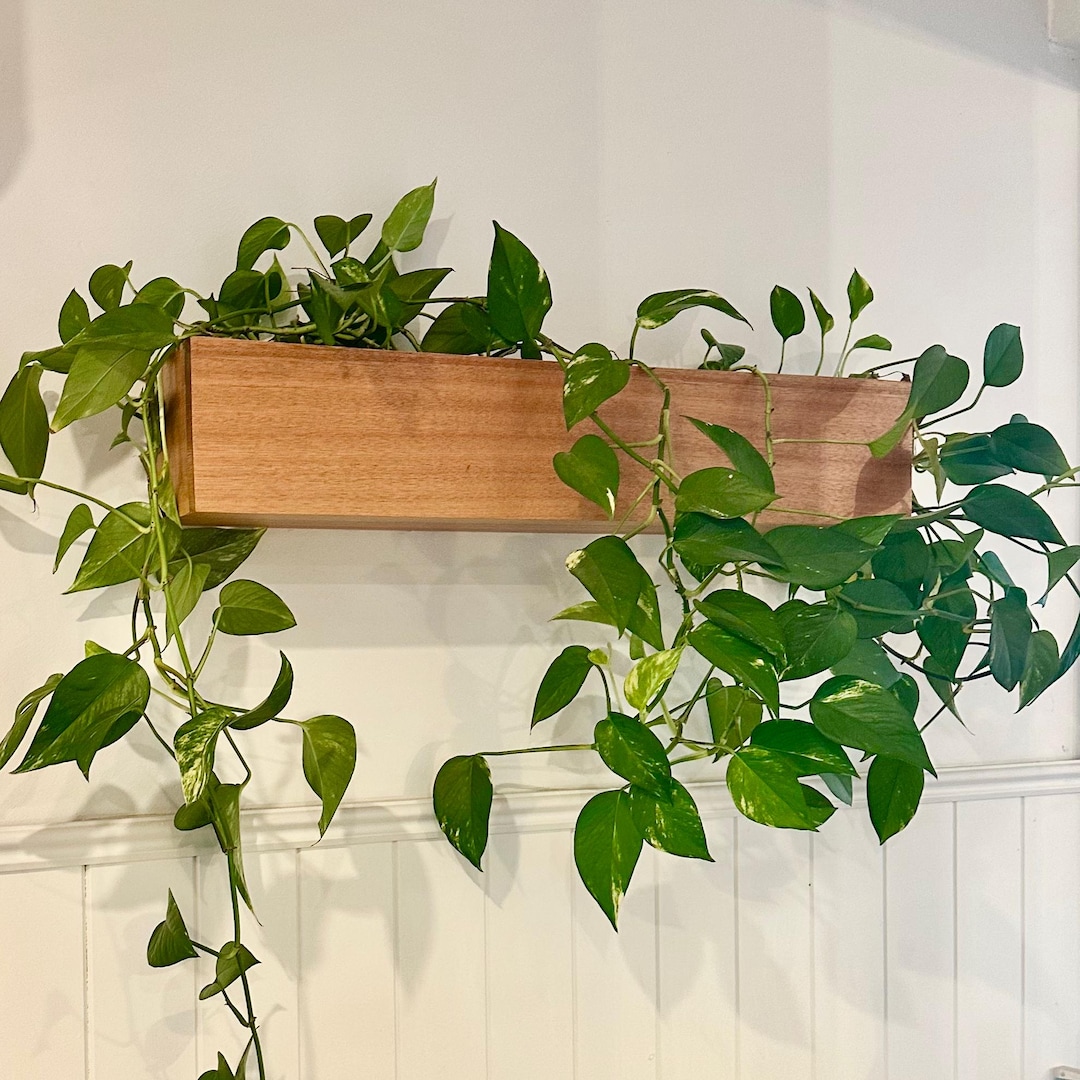 WALLY Wall Mounted Plant Shelf - Deep Shelf, Plant Shelf, Wooden Shelf ...