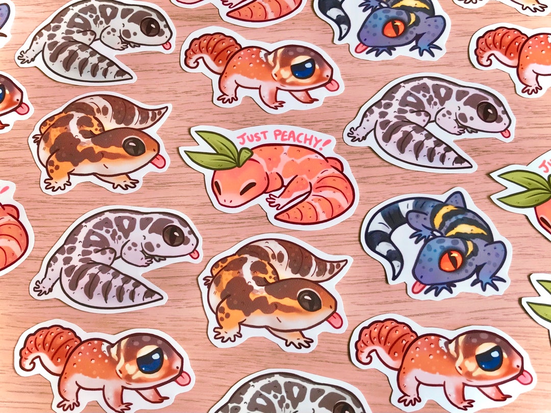 Land Geckos Sticker Set Gloss African Fat-tailed Gecko, Cave Gecko ...