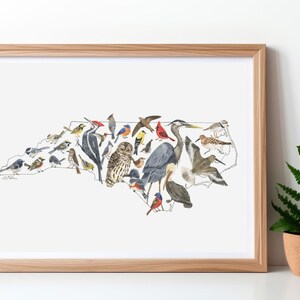 Birds of North Carolina Watercolor Art Print // Wall Decor ...