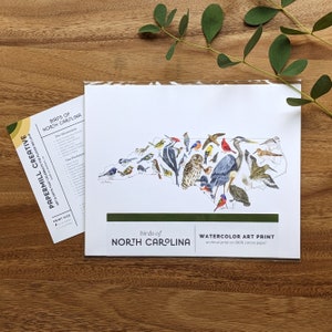 Birds of North Carolina Watercolor Art Print // Wall Decor ...