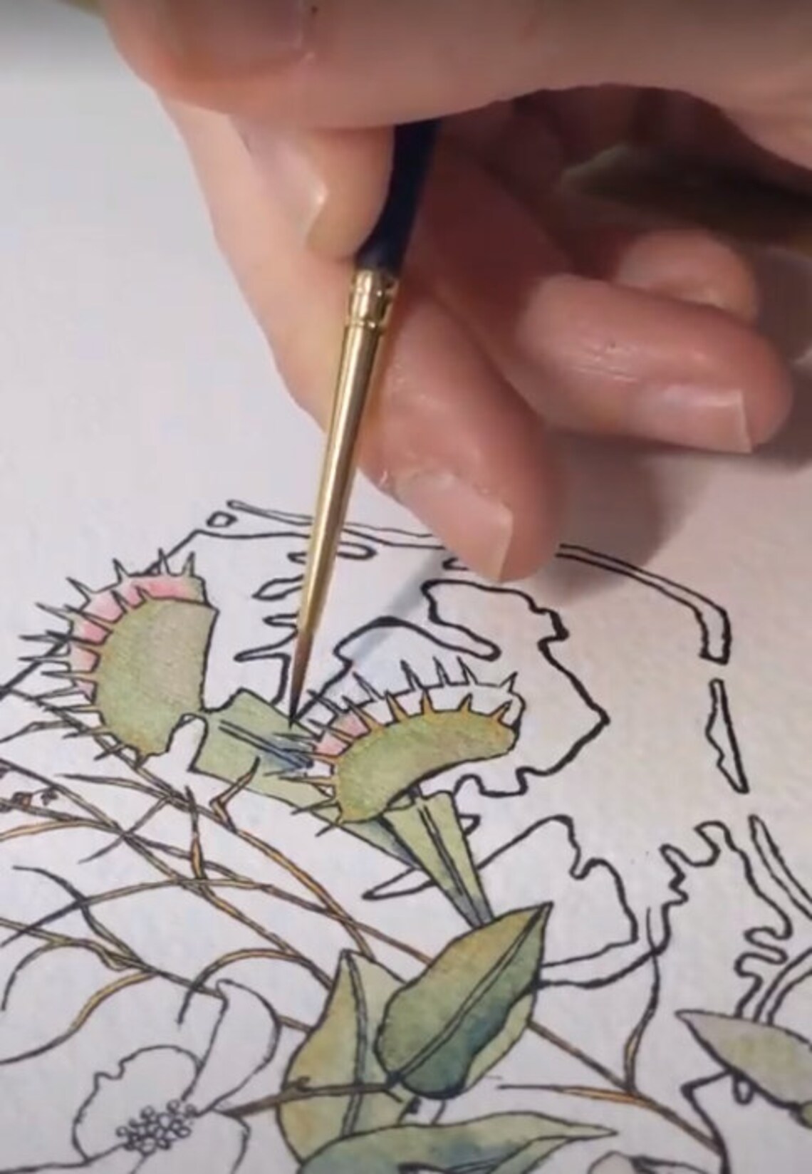 Native Plants of North Carolina vinyl sticker // North | Etsy