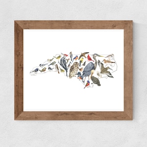 Birds of North Carolina Watercolor Art Print // Wall Decor ...