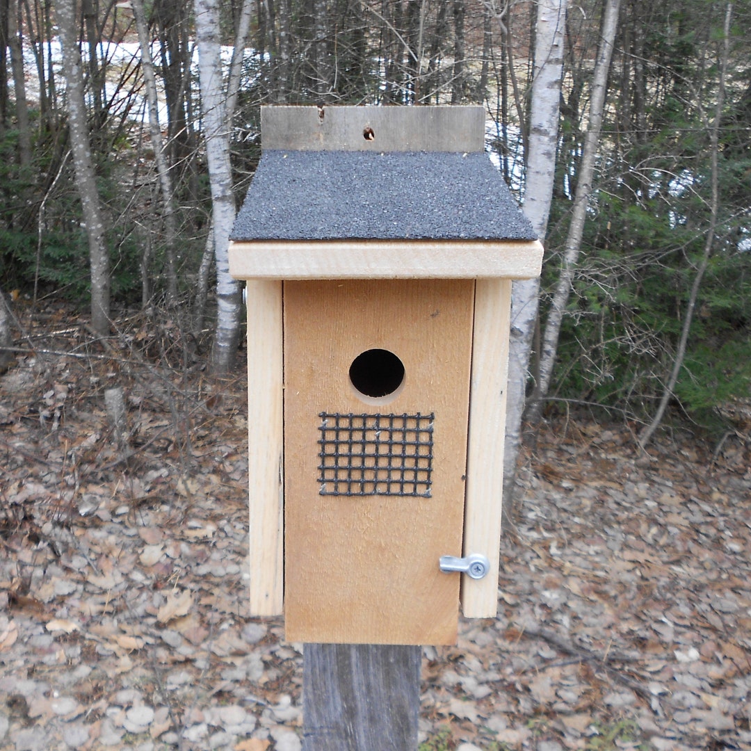 Rough Cut Pine Wood Warbler House free Shipping - Etsy