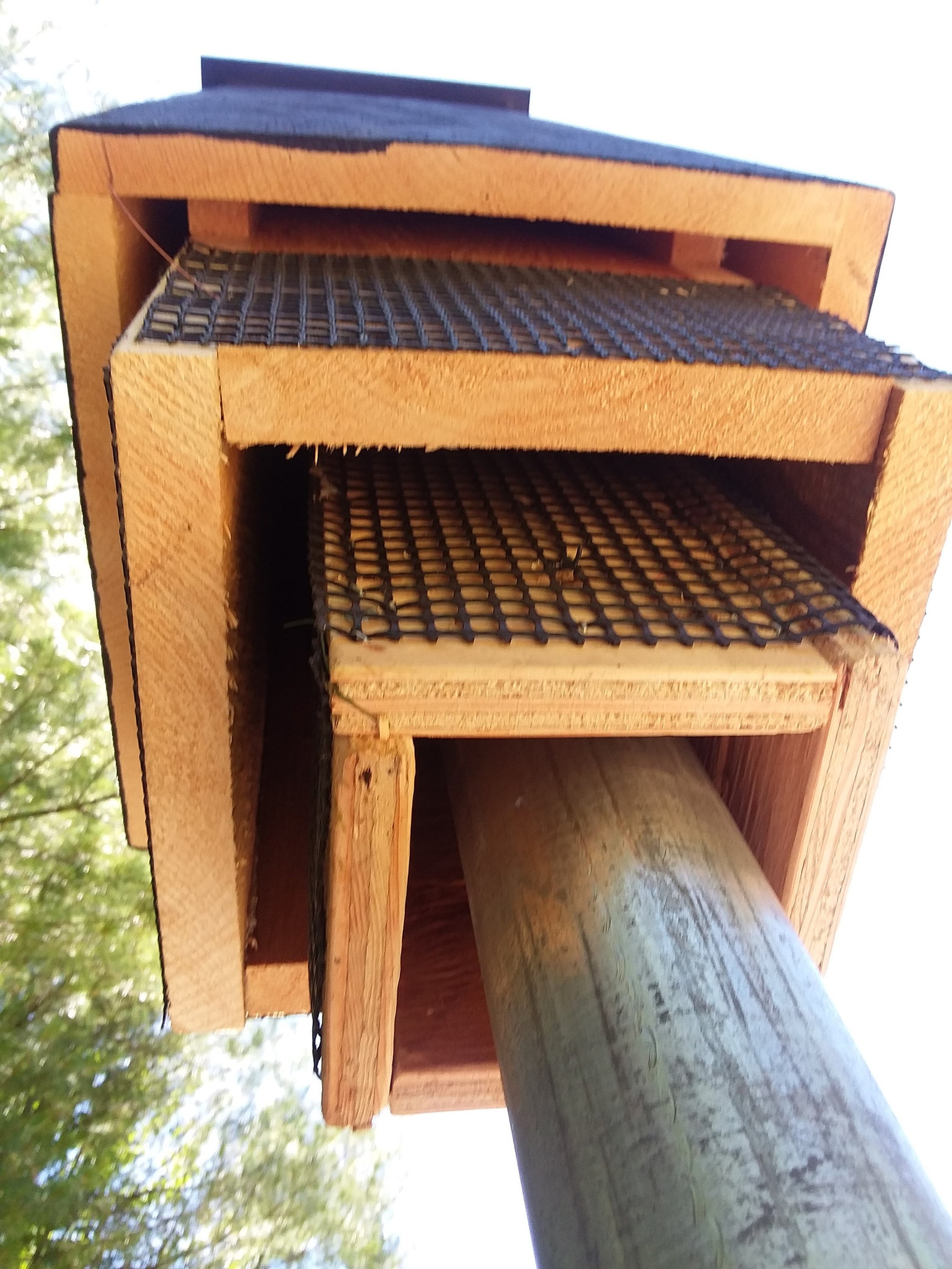 Rocket Bat House free Shipping | Etsy