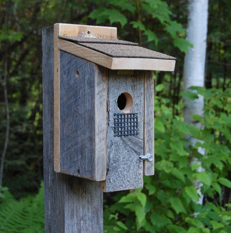 Rustic Wood Warbler House free Shipping | Etsy