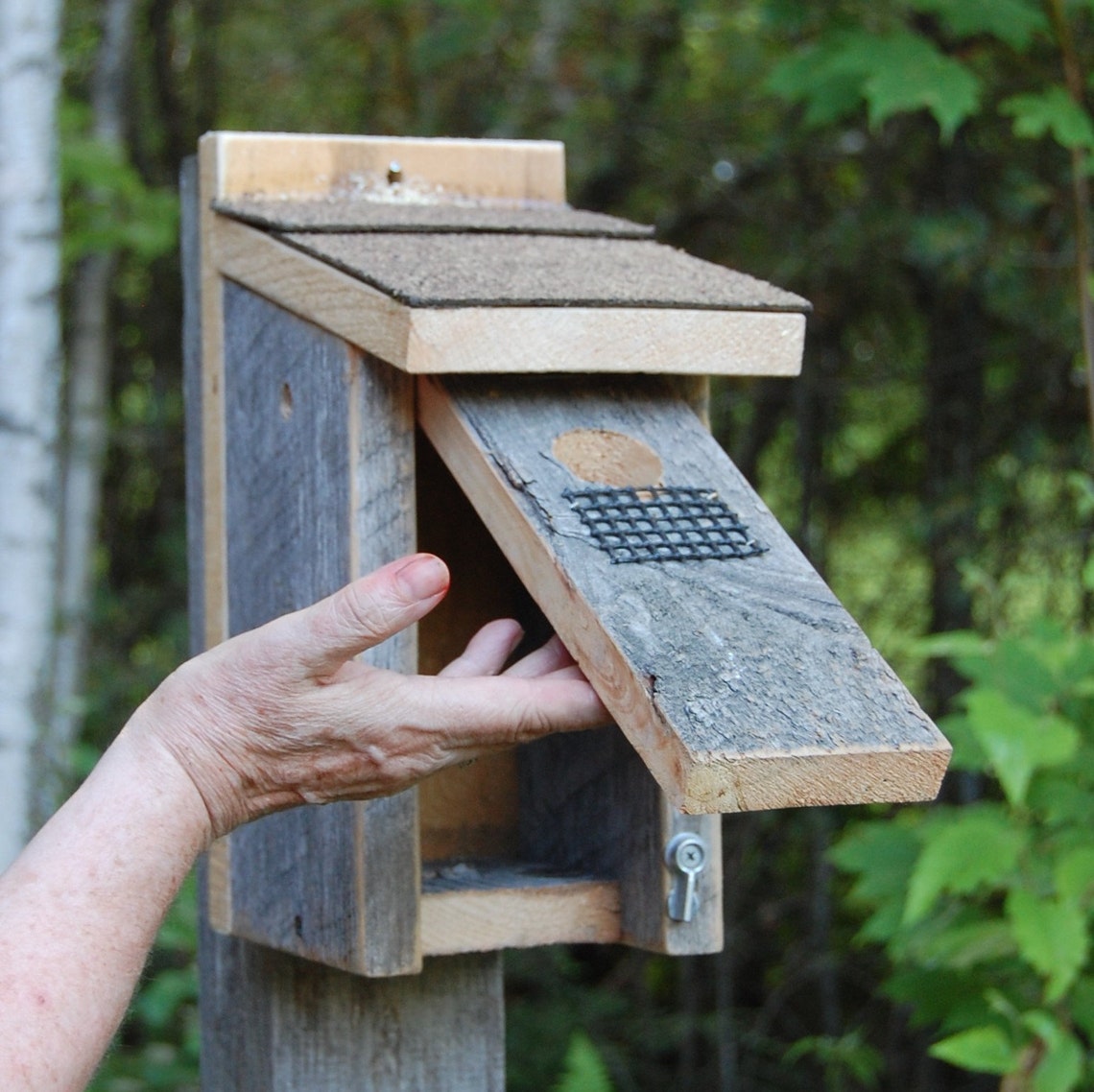 Rustic Wood Warbler House free Shipping | Etsy