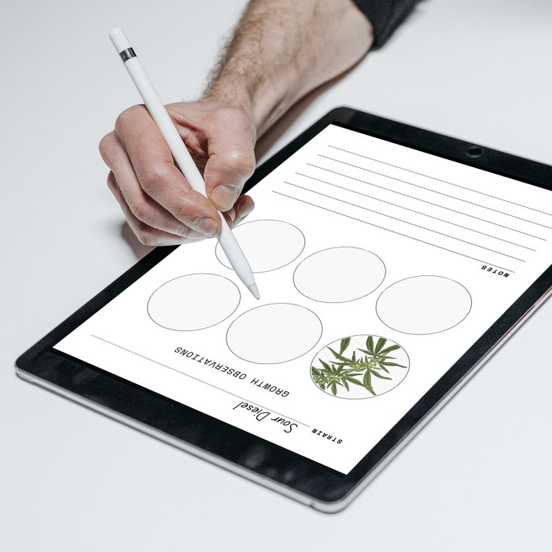 Cannabis Grow Log Weekly/marijuana Grow Journal, Monthly and Marijuana ...