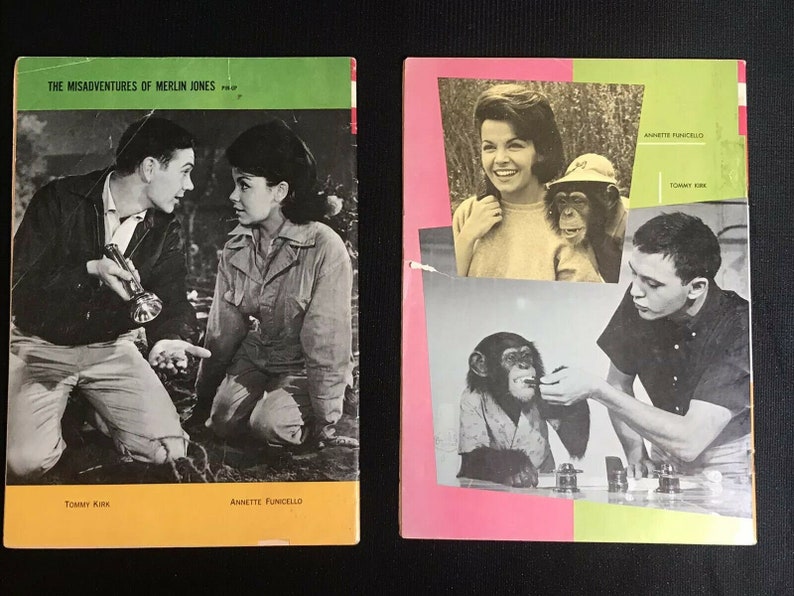 Vintage 1965 Walt Disney's Merlin Jones the Misadventures & Monkey's ...