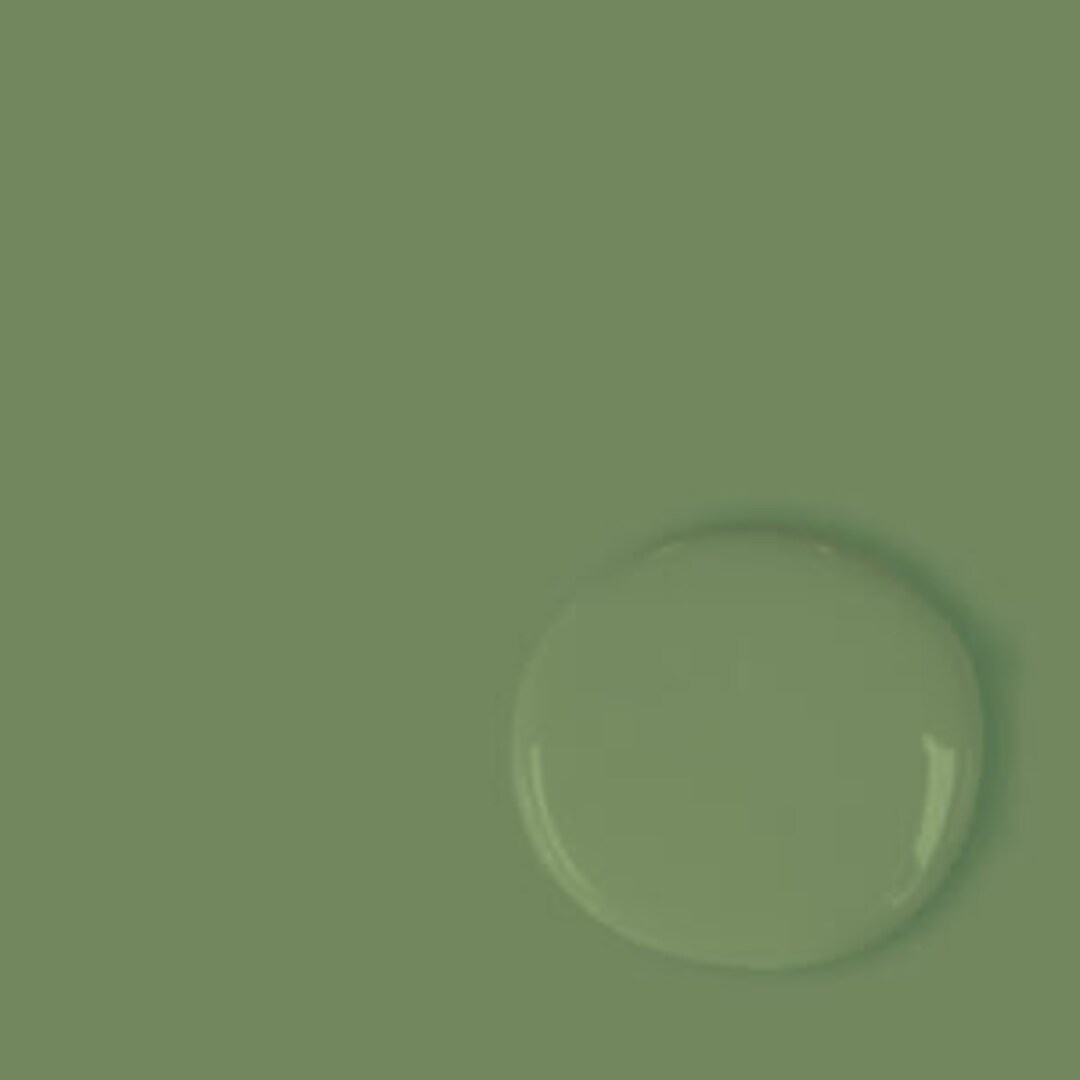 Capability Green Chalk Paint® - Etsy