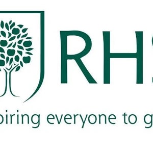 RHS Decoupage Paper Songbirds - Etsy