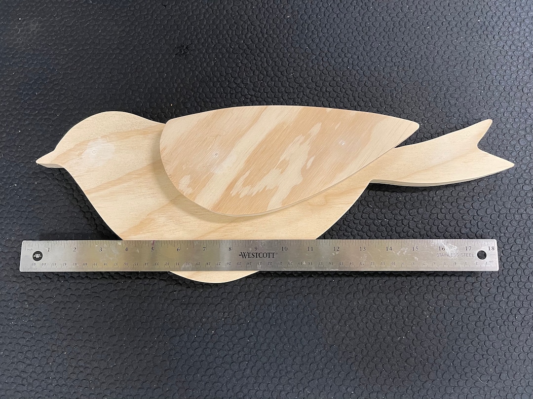 Big Beautiful Bird Substrate - Etsy