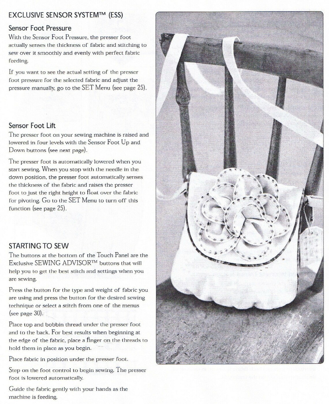 Husqvarna Viking Eden Rose 250C Limited Edition Sewing Machine - Etsy