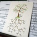 Bespoke Handwritten Family Tree Watercolour & Calligraphy - Etsy