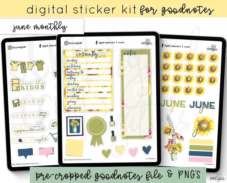 June 2020 Monthly Kit Digital Planner Stickers Part 1 and - Etsy