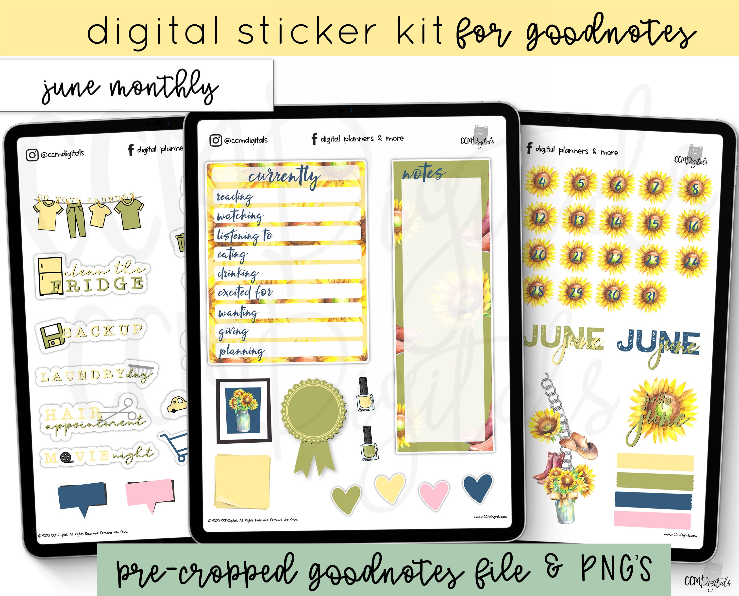 June 2020 Monthly Kit Digital Planner Stickers Part 1 and | Etsy