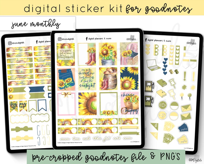 June 2020 Monthly Kit Digital Planner Stickers Part 1 and - Etsy