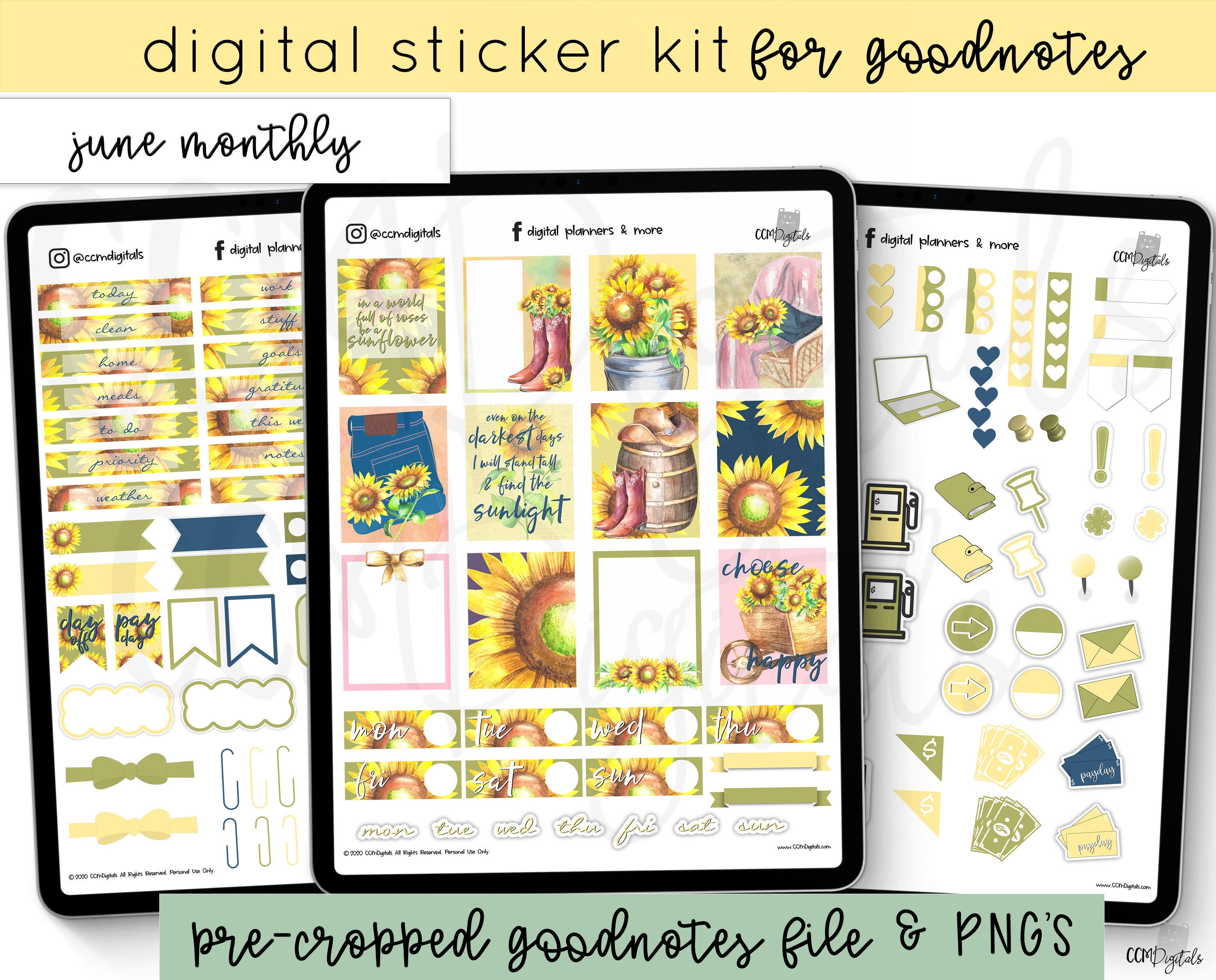 June 2020 Monthly Kit Digital Planner Stickers Part 1 and | Etsy