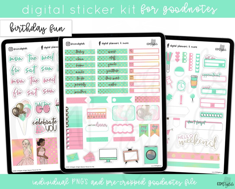 Digital Planner Birthday Fun Stickers | Includes Individual PNG ...