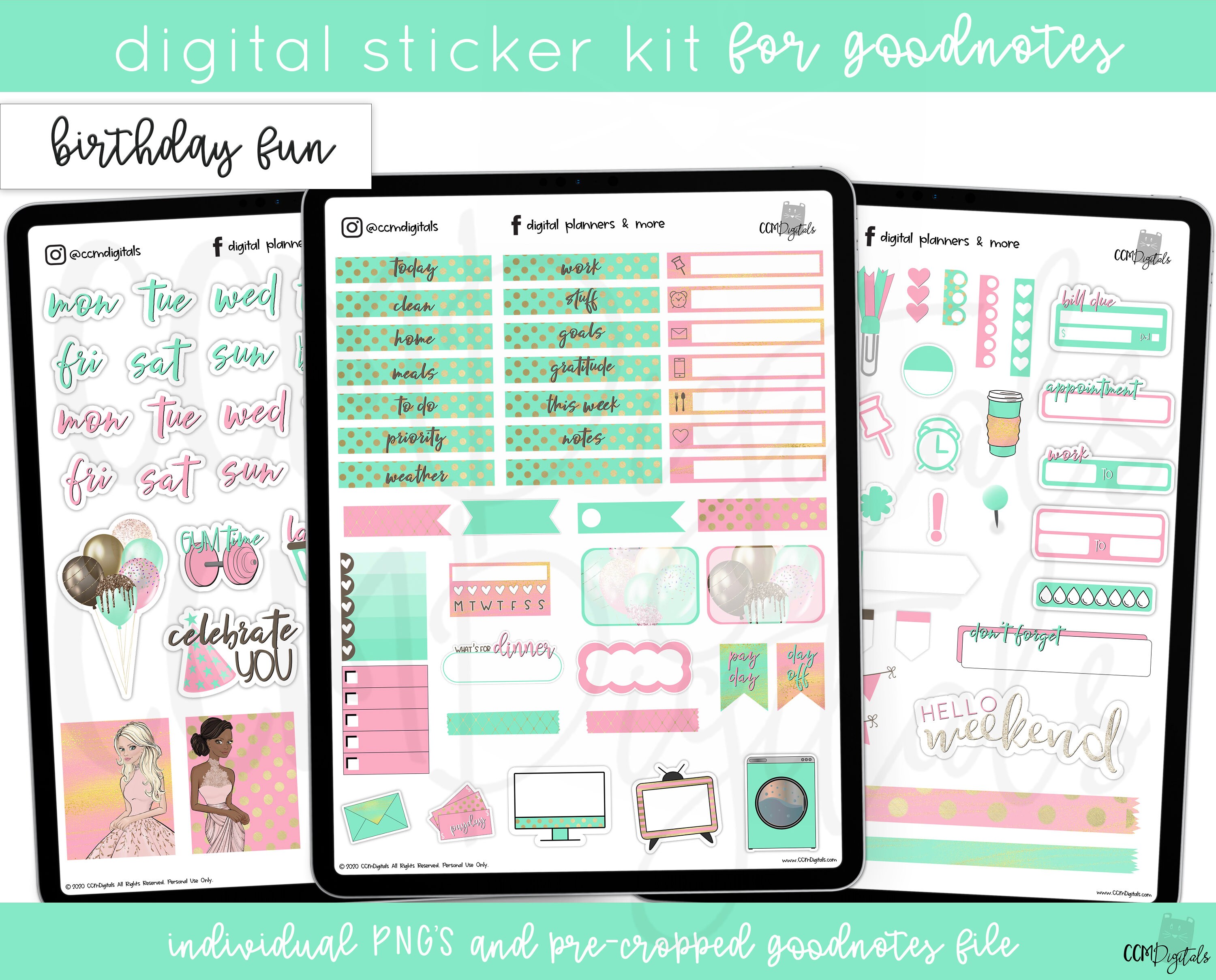 Digital Planner Birthday Fun Stickers | Includes Individual PNG ...