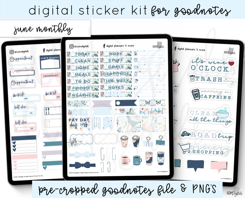 June 2020 Monthly Kit Digital Planner Stickers Part 1 and - Etsy