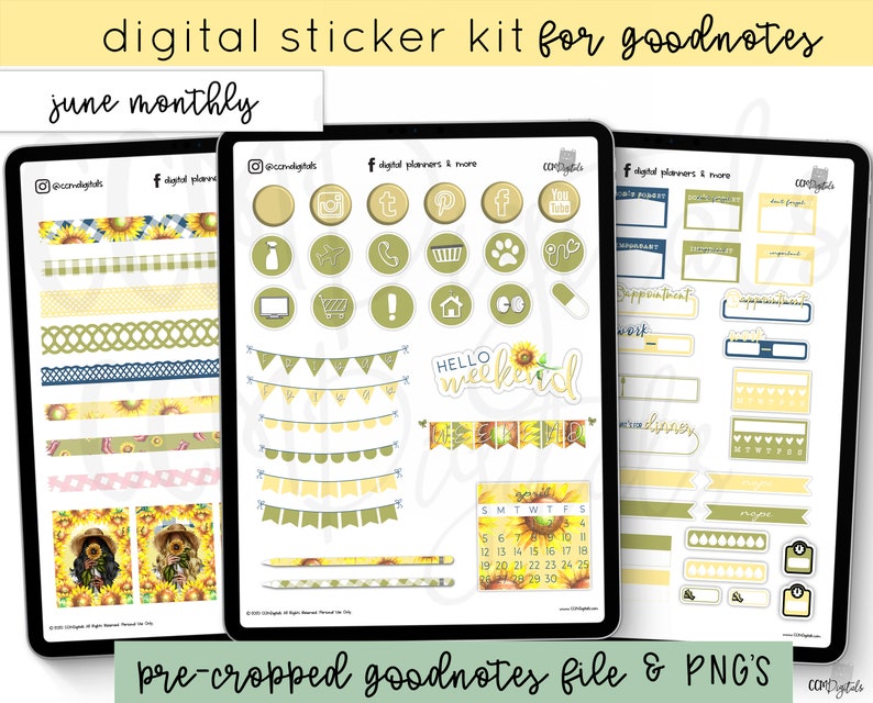 June 2020 Monthly Kit Digital Planner Stickers Part 1 and - Etsy