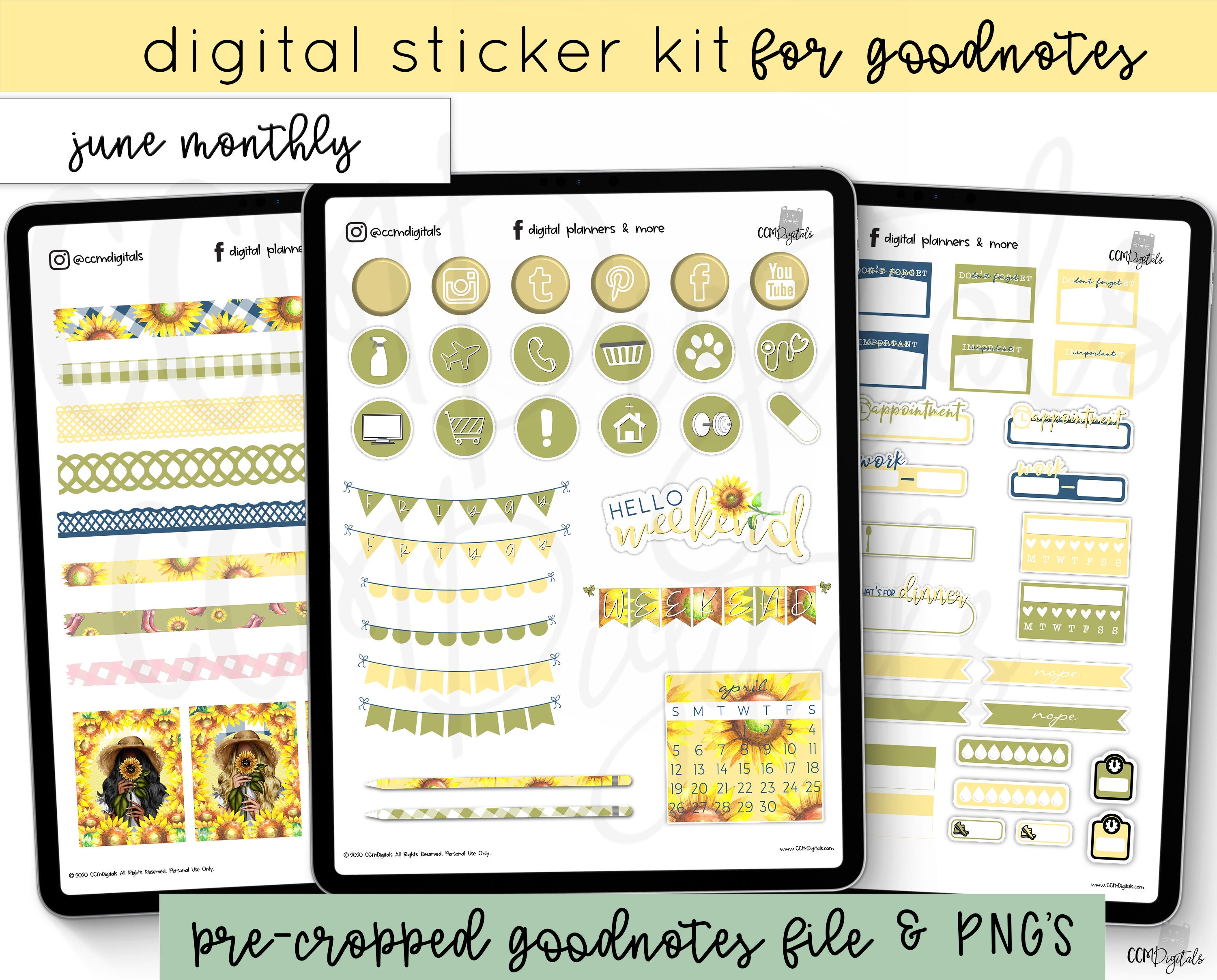 June 2020 Monthly Kit Digital Planner Stickers Part 1 and | Etsy