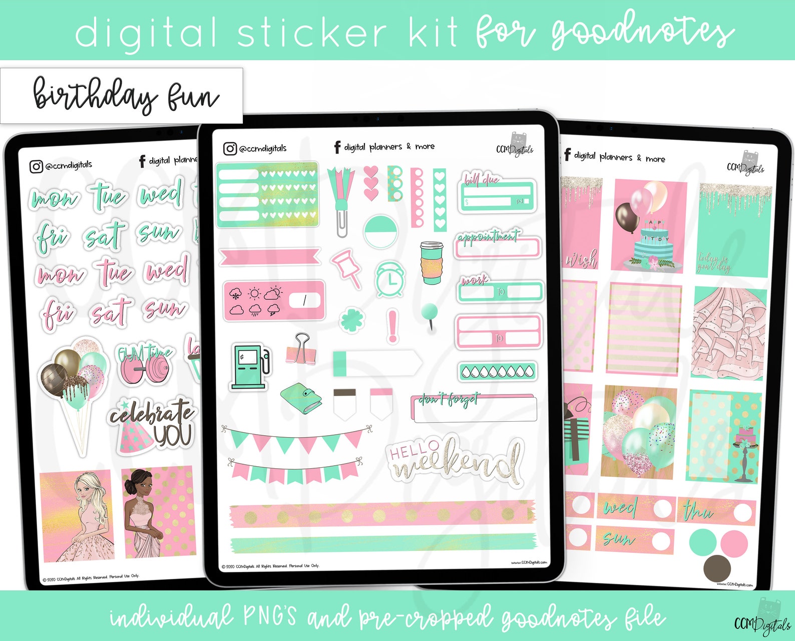 Digital Planner Birthday Fun Stickers | Includes Individual PNG ...