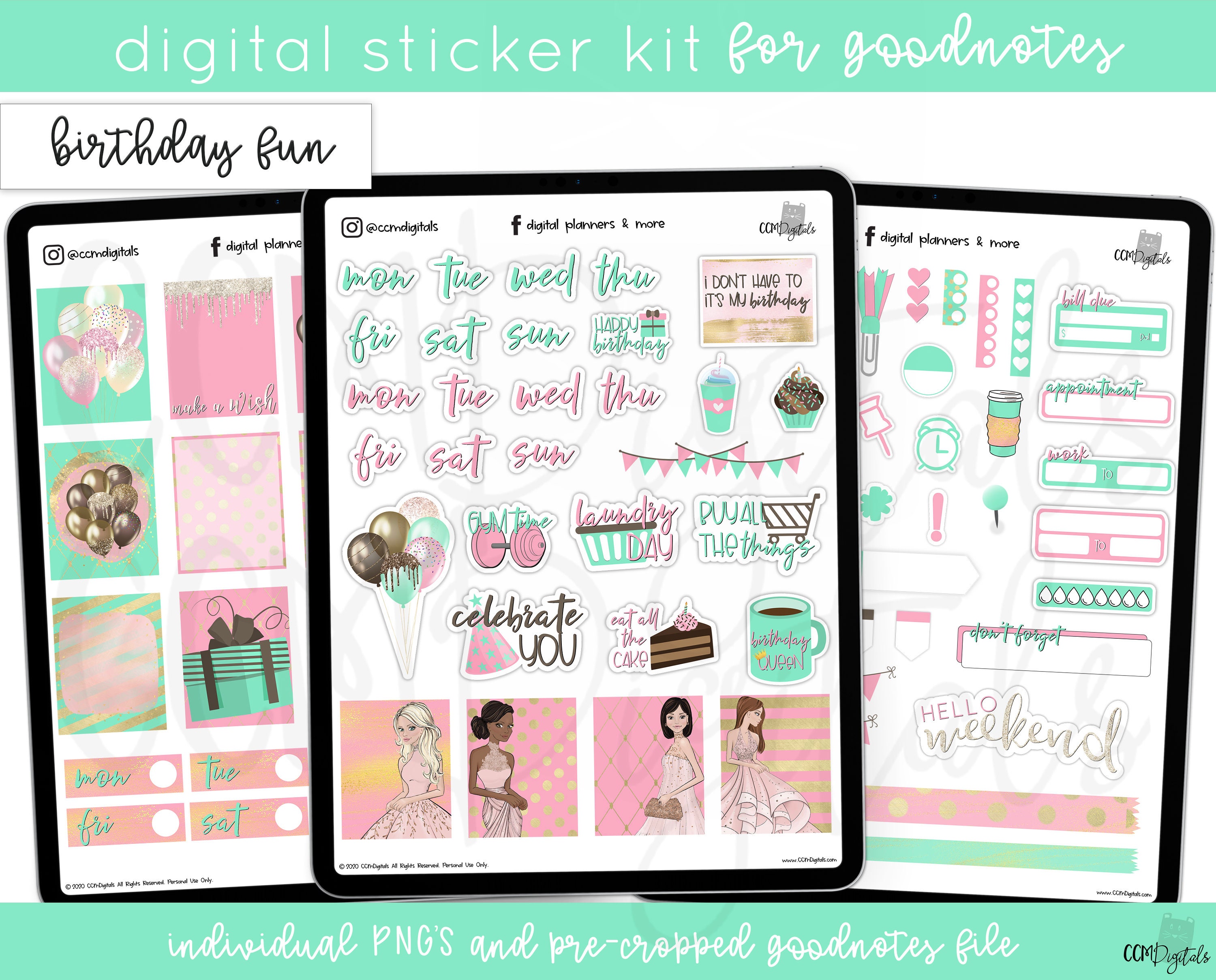 Digital Planner Birthday Fun Stickers Includes Individual - Etsy