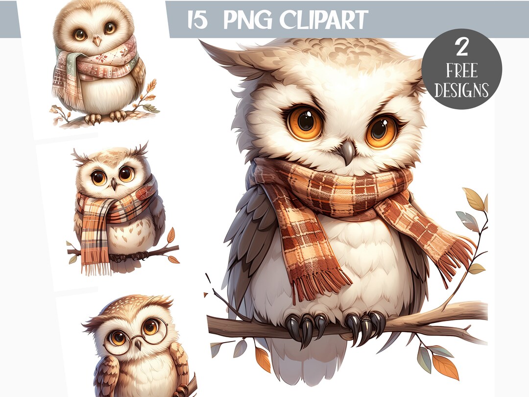 Owl Clipart Bundle PNG Digital Download Pretty Owls Bird Clip Art ...