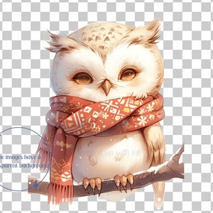 Owl Clipart Bundle PNG Digital Download Pretty Owls Bird Clip Art ...