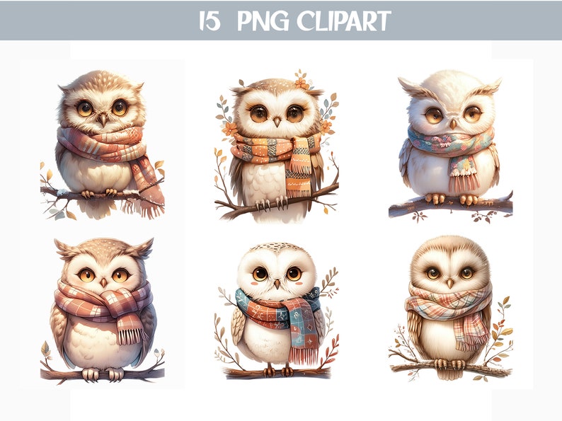 Owl Clipart Bundle PNG Digital Download Pretty Owls Bird Clip Art ...