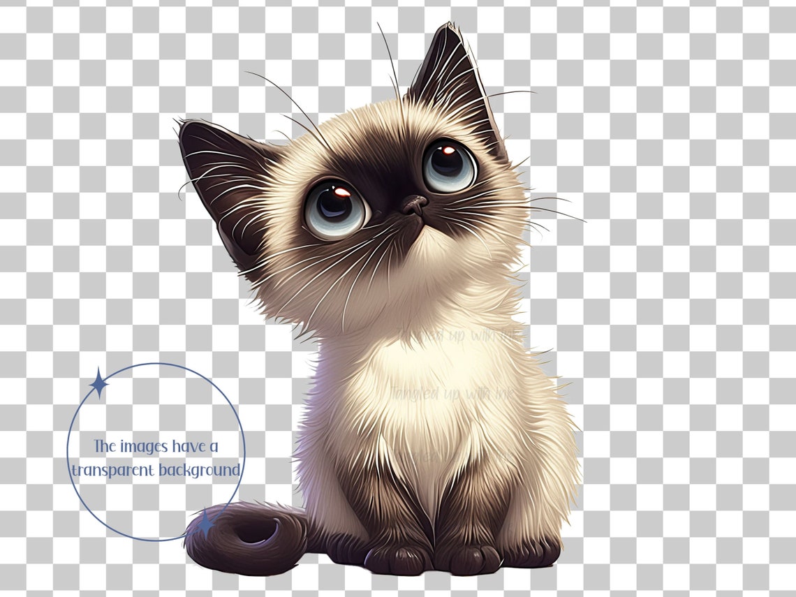 Cat Clipart Bundle PNG Digital Download 10 Cute Kitten Feline Animals ...
