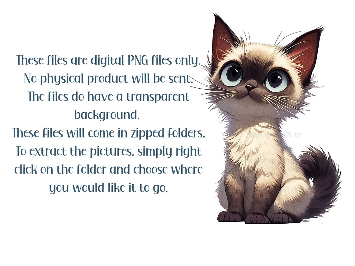 Cat Clipart Bundle PNG Digital Download 10 Cute Kitten Feline Animals ...