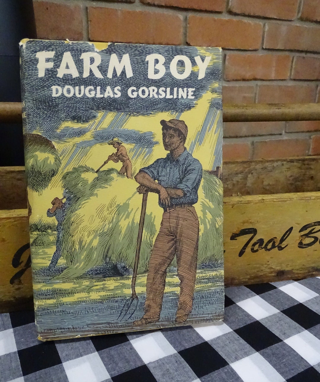 1950 First Edition "farm Boy" Written & Illustrated by Douglas Gorsline ...