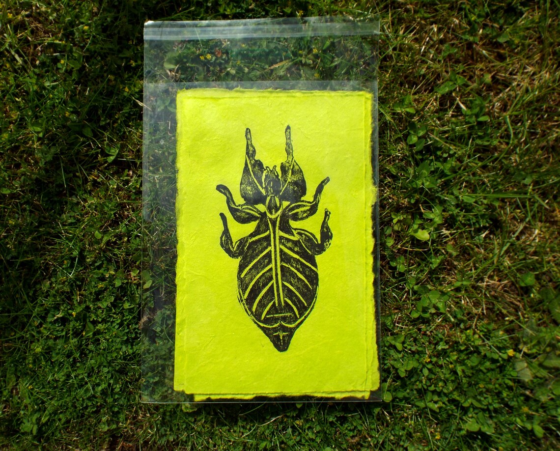 Leaf Insect Lino Print | Insect Linocut, Bug Wall Decor, Handmade ...