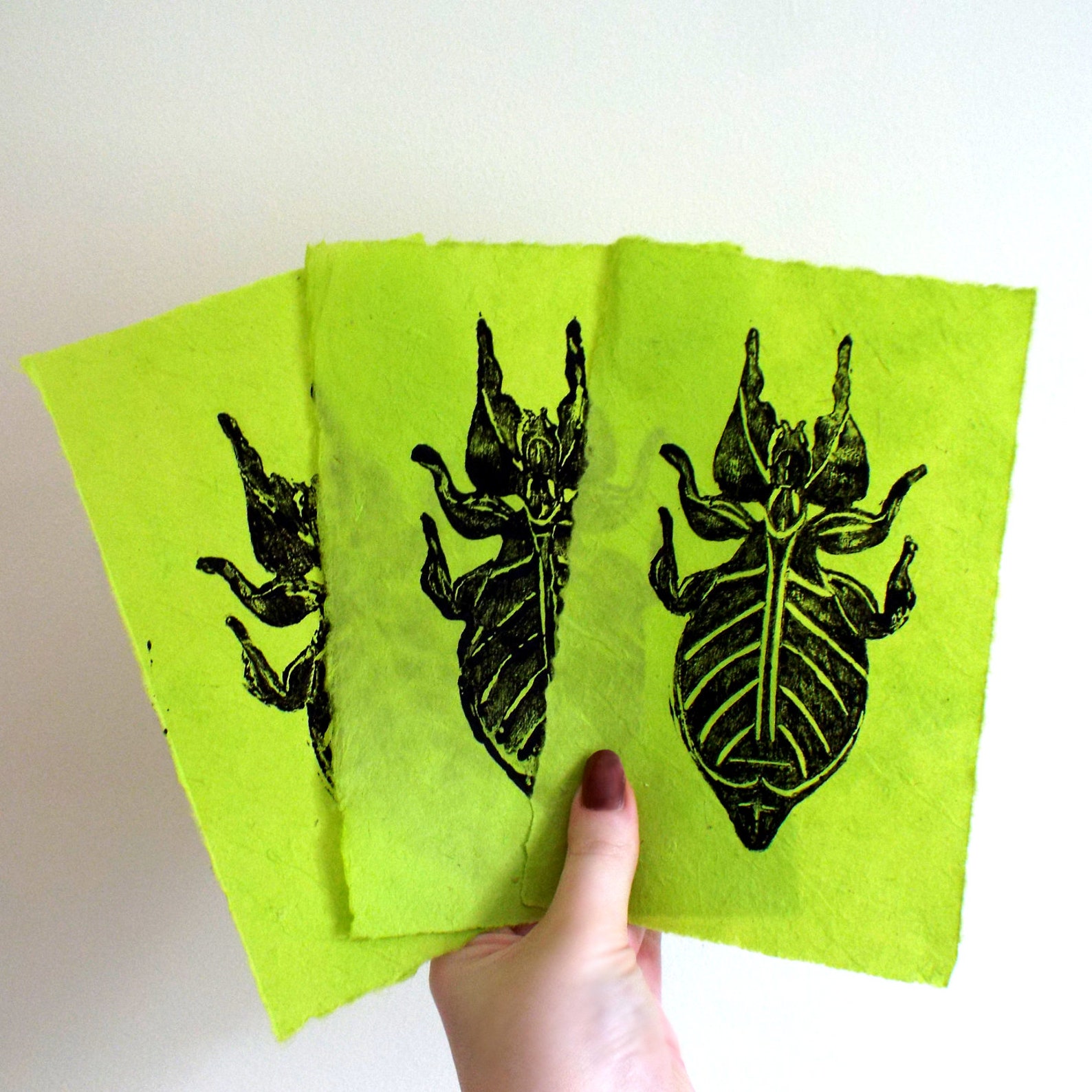 Leaf Insect Lino Print | Insect Linocut, Bug Wall Decor, Handmade ...