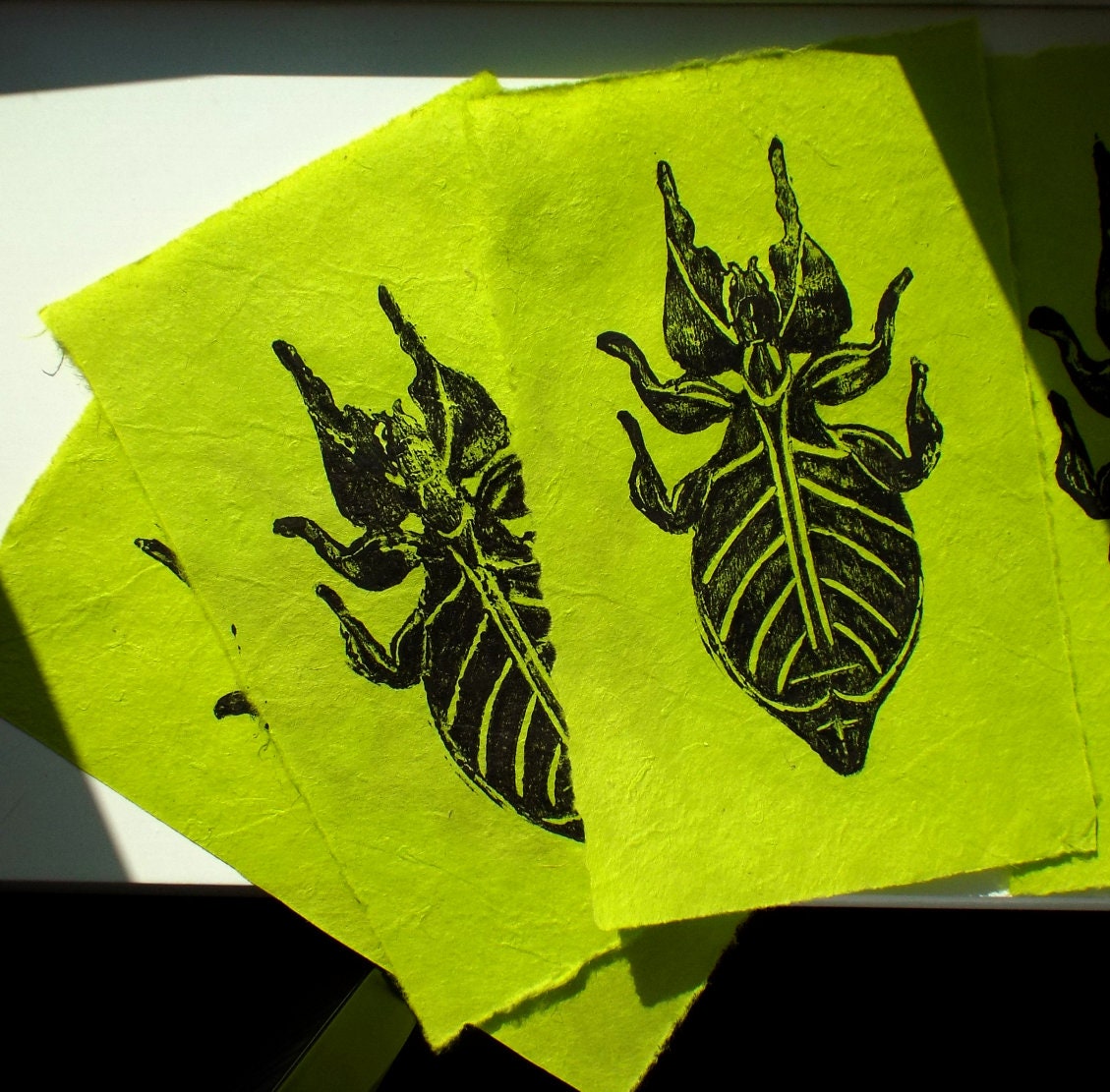 Leaf Insect Lino Print | Insect Linocut, Bug Wall Decor, Handmade ...