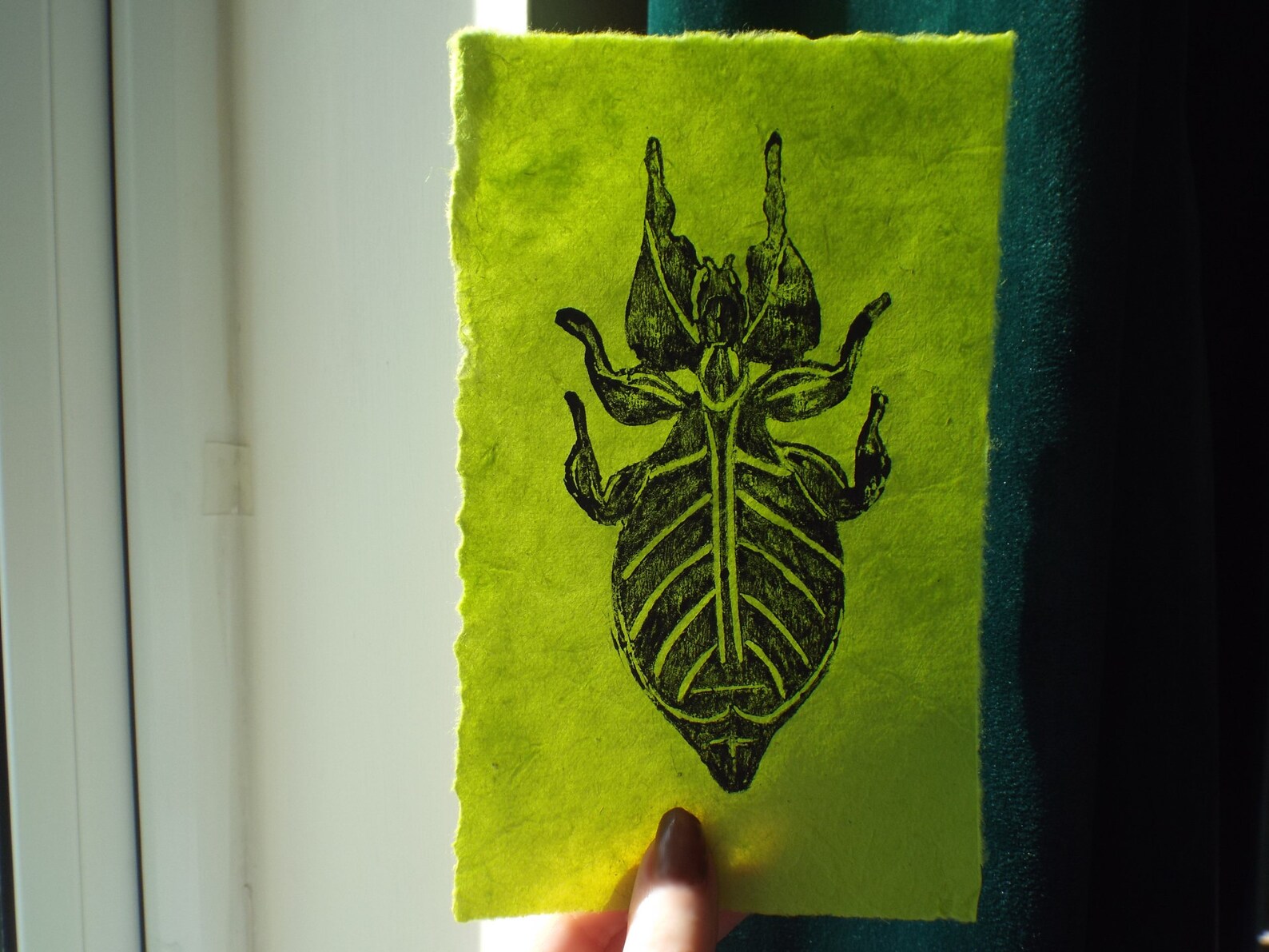 Leaf Insect Lino Print | Insect Linocut, Bug Wall Decor, Handmade ...