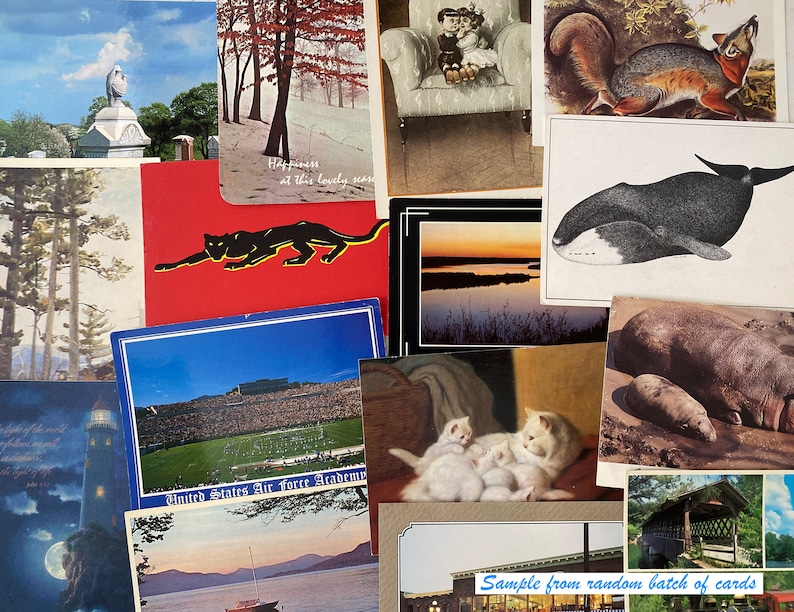 130 BLANK Postcards for Postcrossing! - Etsy
