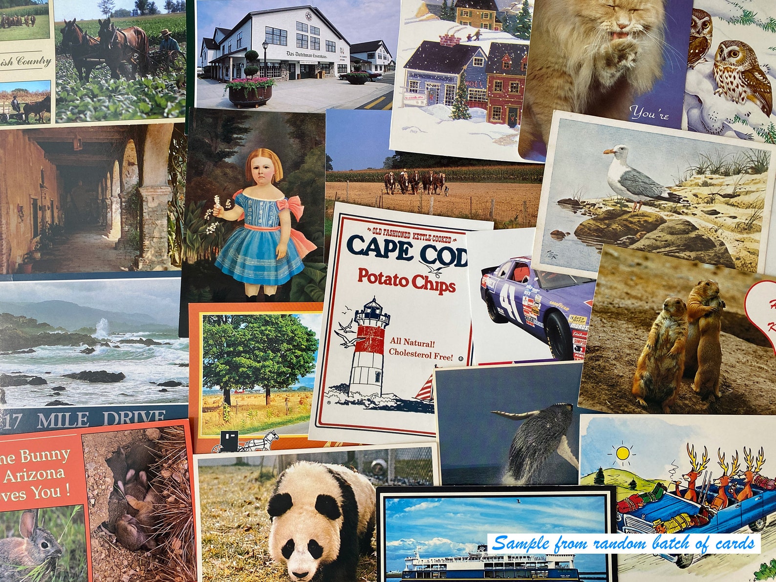 25 BLANK Postcards for Postcrossing 1980s-2000s - Etsy