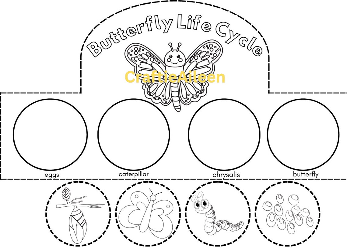 Life Cycle of a BUTTERFLY, SPRING Time Activity, DIGITAL Download - Etsy