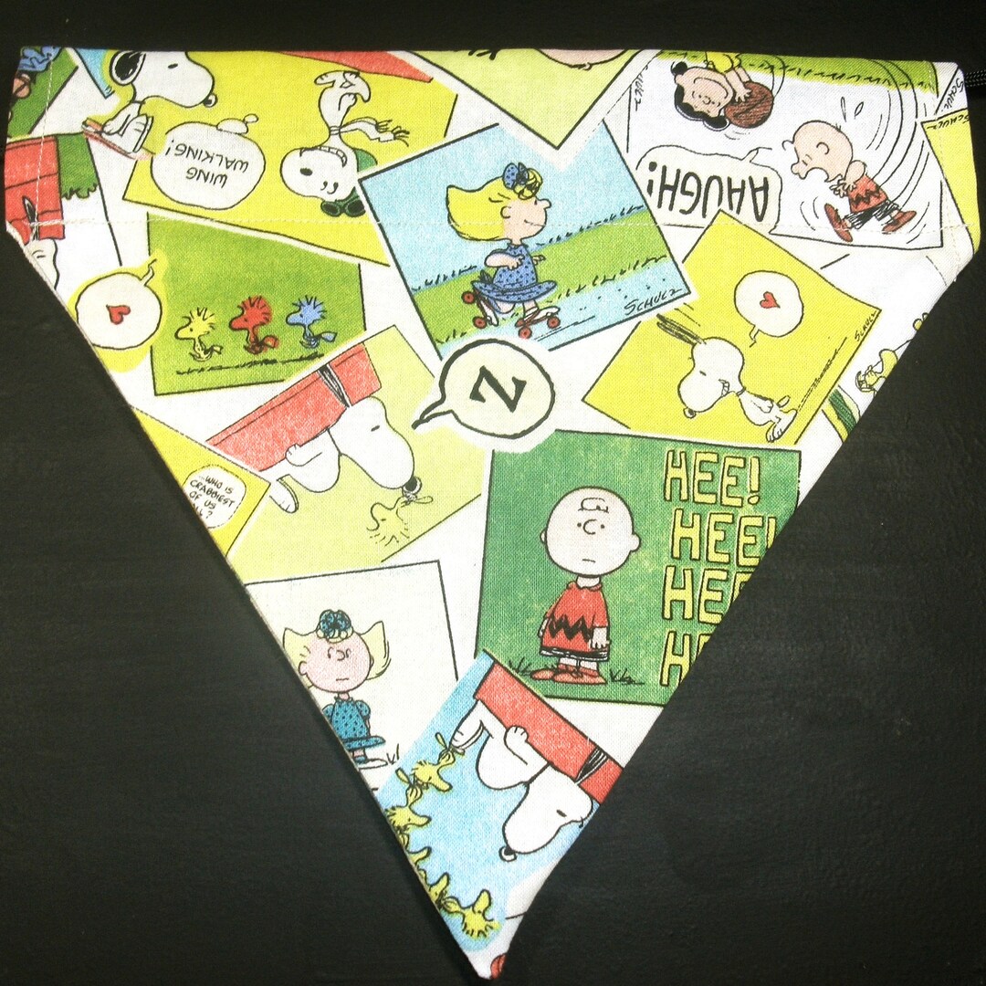 Reversible Peanuts Snoopy Comic Panels / Blue Green Rectangle Pattern ...