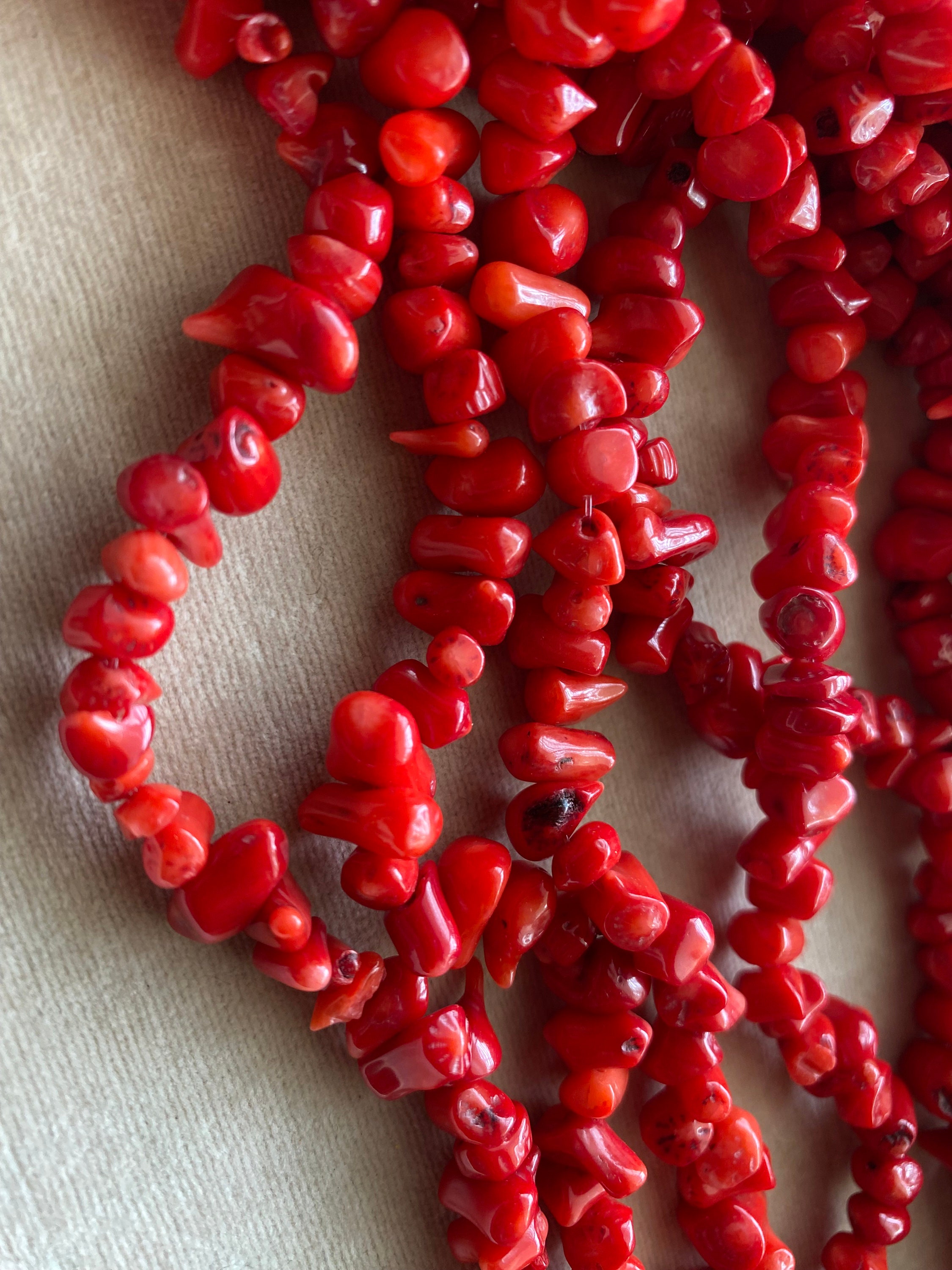 High-quality Red Coral 5-10x Branch Chips Loose Beads. Dyed Sea Bamboo ...