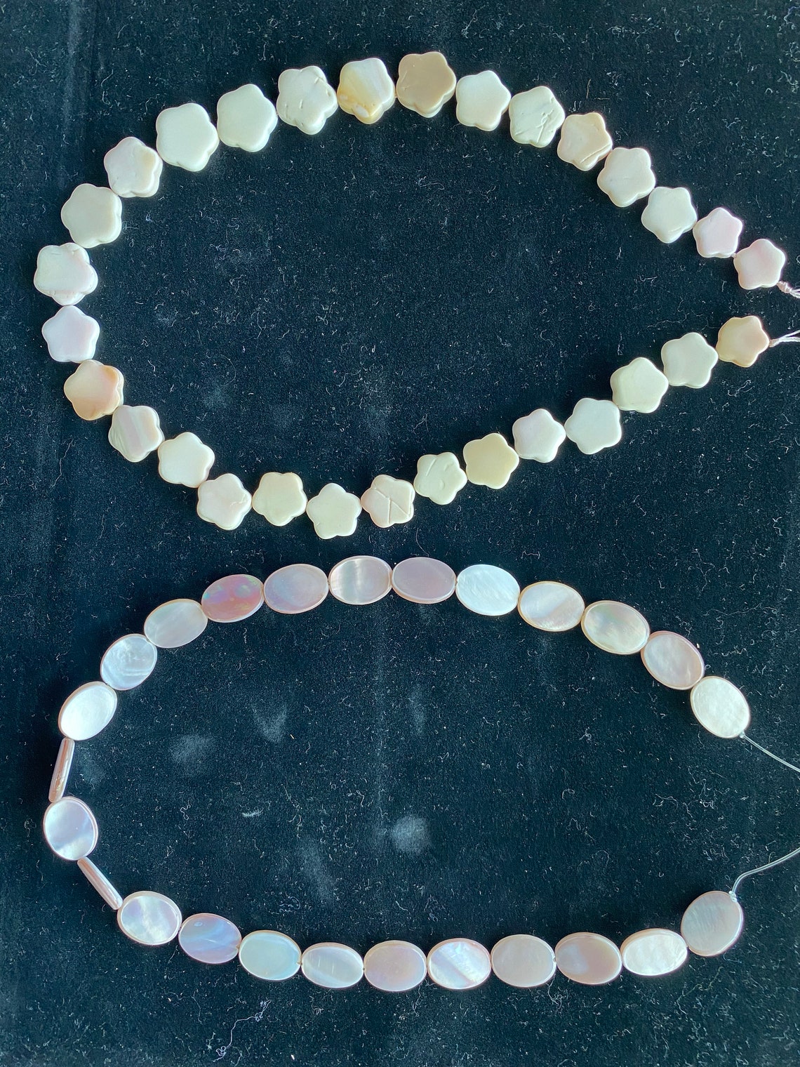 Genuine Queen Conch Shell Flower 12x12-16x16mm Beads.pink Shell 12x16mm ...