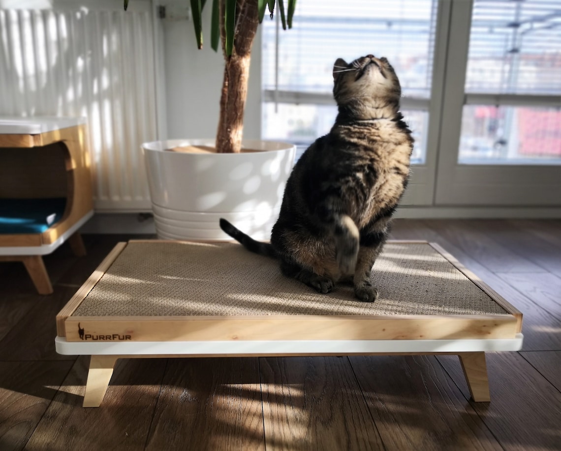 Beautiful Cardboard Scratching Post in Modern Design - Etsy