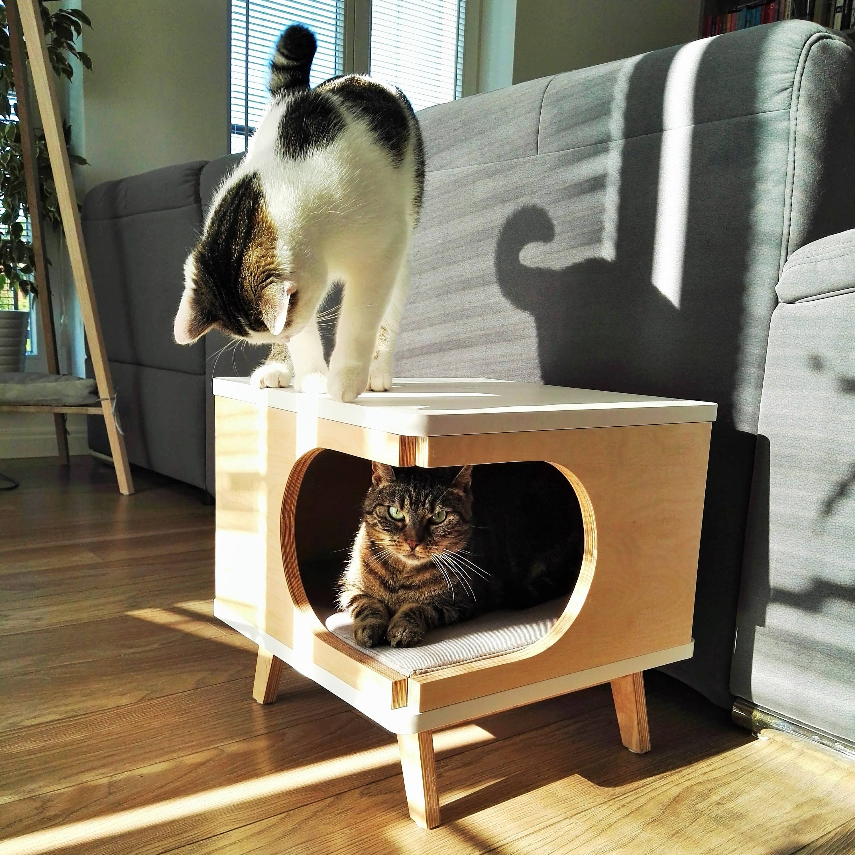 Modern Cat House Made From Plywood in Scandinavian Design - Etsy Canada